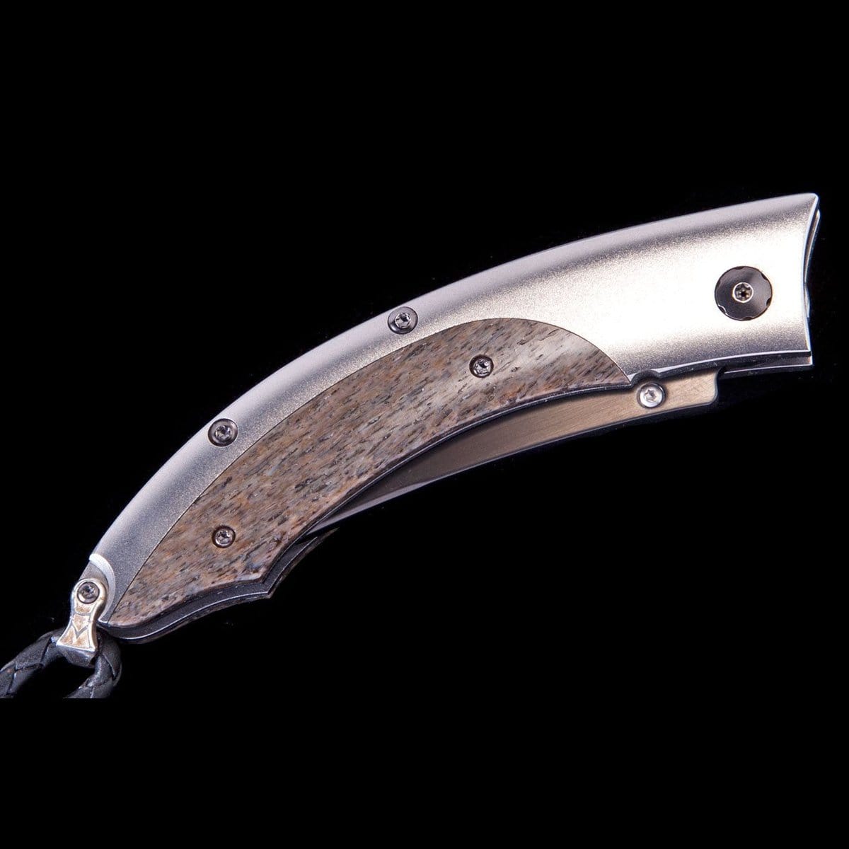Persian Thorn Limited Edition - B11 THORN - William Henry