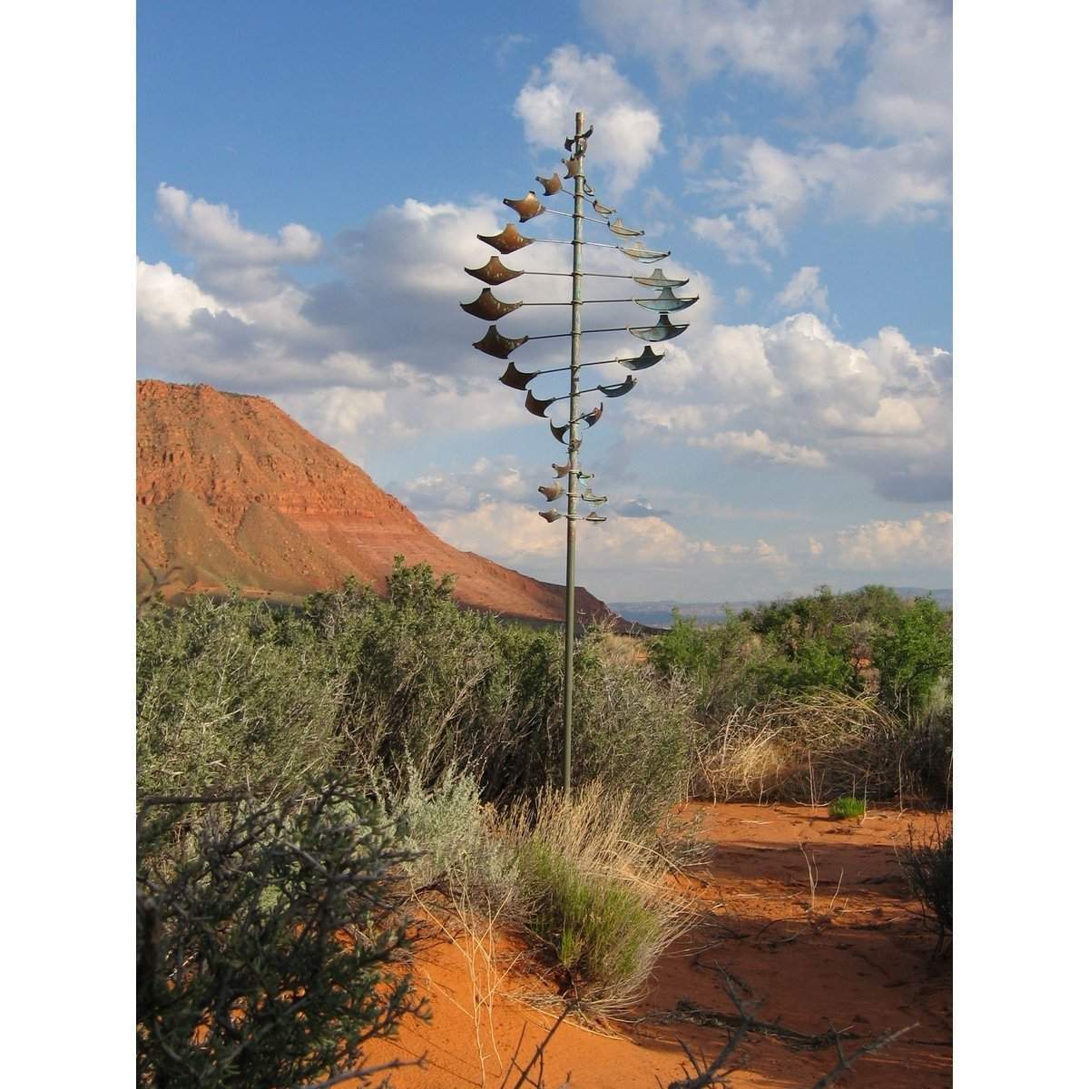 Star Dancer Horizontal - Lyman Whitaker